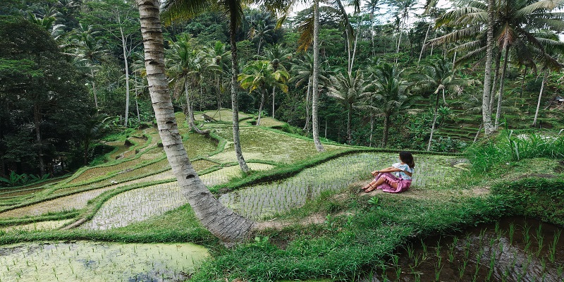 Direct Flights to Bali Frm $535 Rtn With Garuda – Flightfinderau